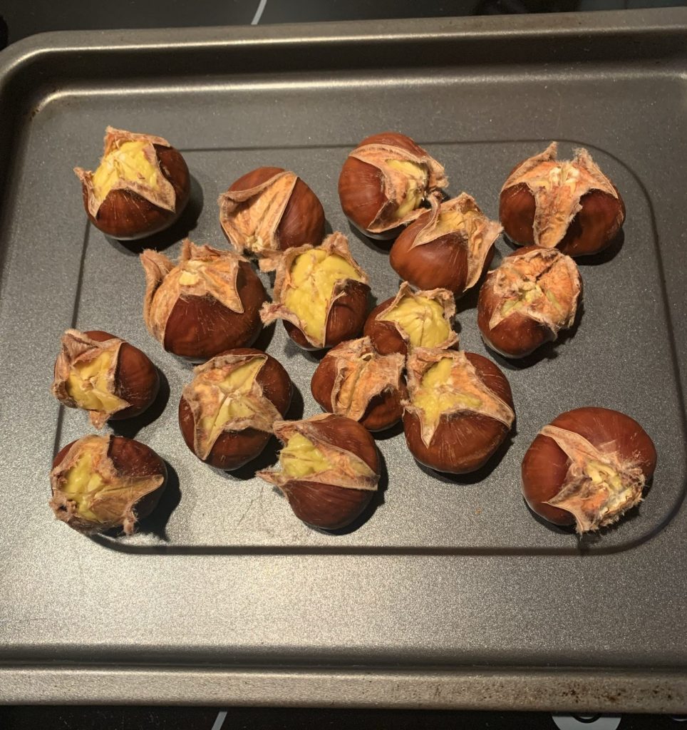 Learning about Chestnuts – Our Frankfurt Germany Mission